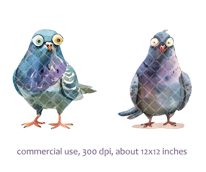 14 Watercolor Funny Pigeons Clipart, Printable Boggle-eyed Birds ...