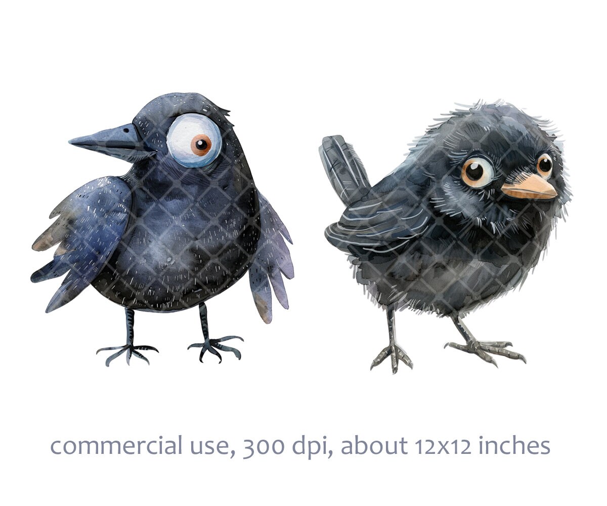 Watercolor Clipart With Funny Crow, Digital Download, High Quality PNG ...