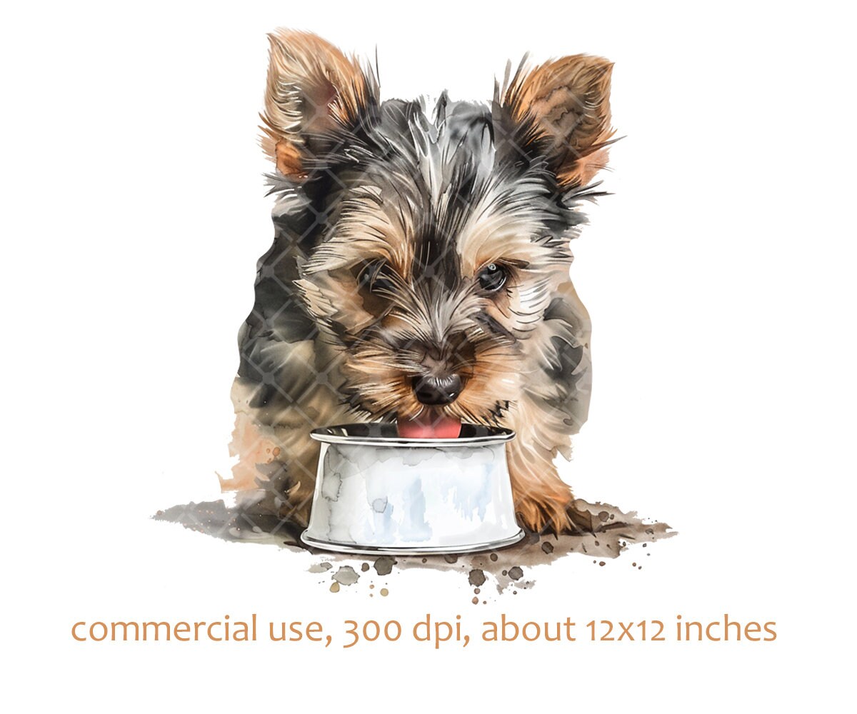 Yorkshire Terrier PNG Bundle, Watercolor Yorkshire PNG Images for Sublimation Crafting Digital ...