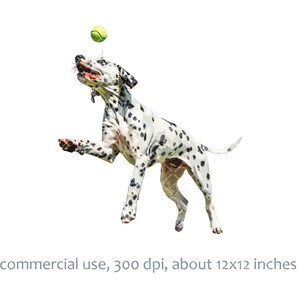 10 Watercolor Dalmatian Clipart, Printable Dogs Watercolor Clipart ...