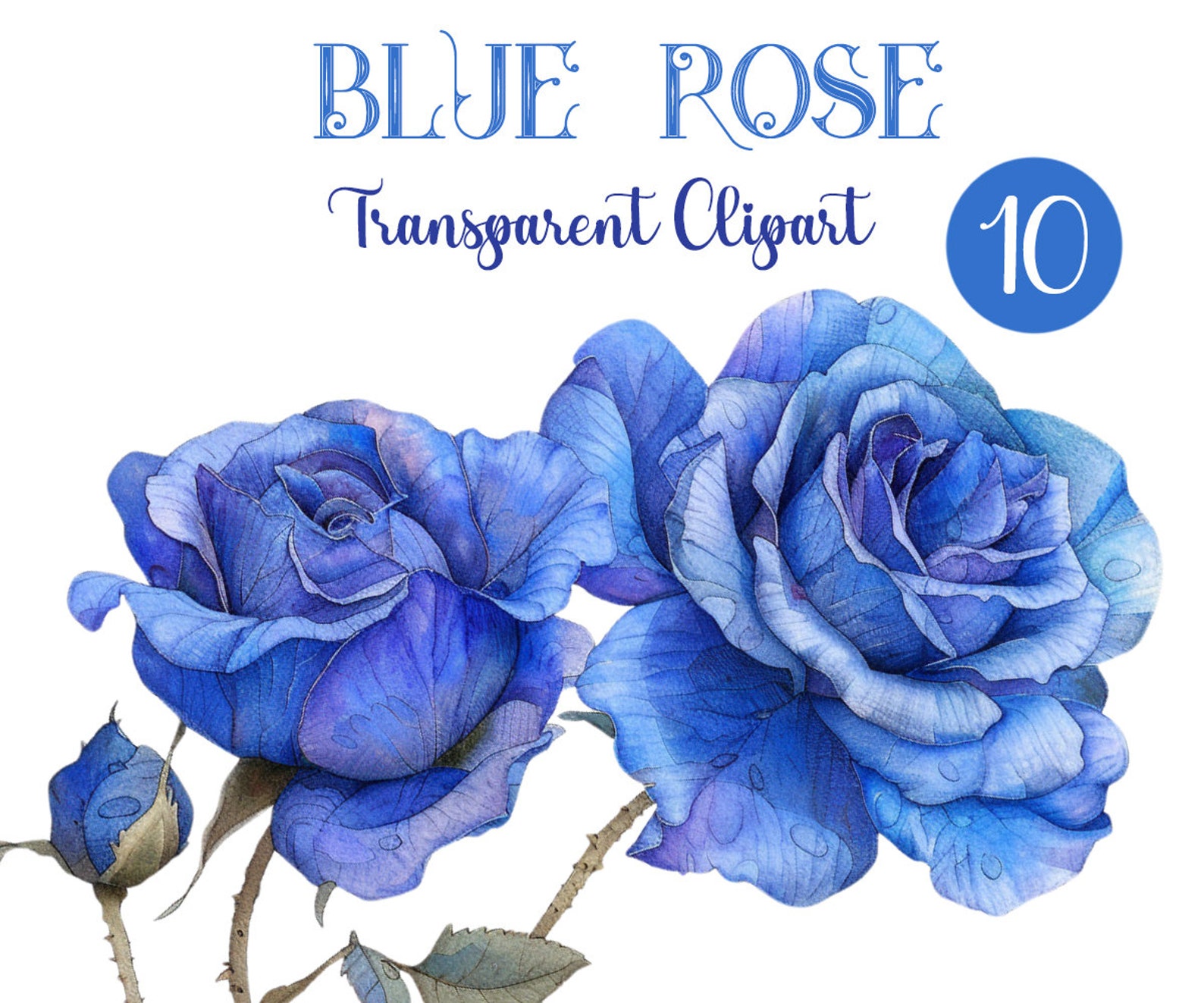 Watercolor Blue Rose Clipart - Hand-painted Floral Art, Digital ...