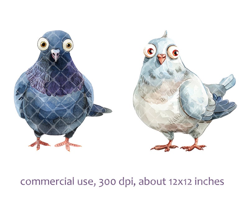 14 Watercolor Funny Pigeons Clipart, Printable Boggle-eyed Birds ...