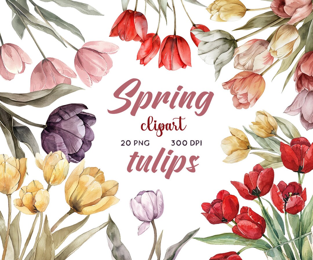 Watercolor Spring Tulip Clipart: Floral PNG Bundle (commercial Use ...