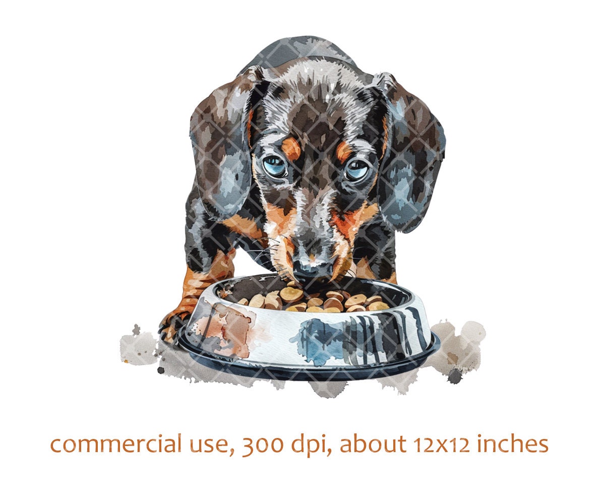 10 Watercolor Dachshund Clipart, Printable Dogs and Puppies Watercolor ...