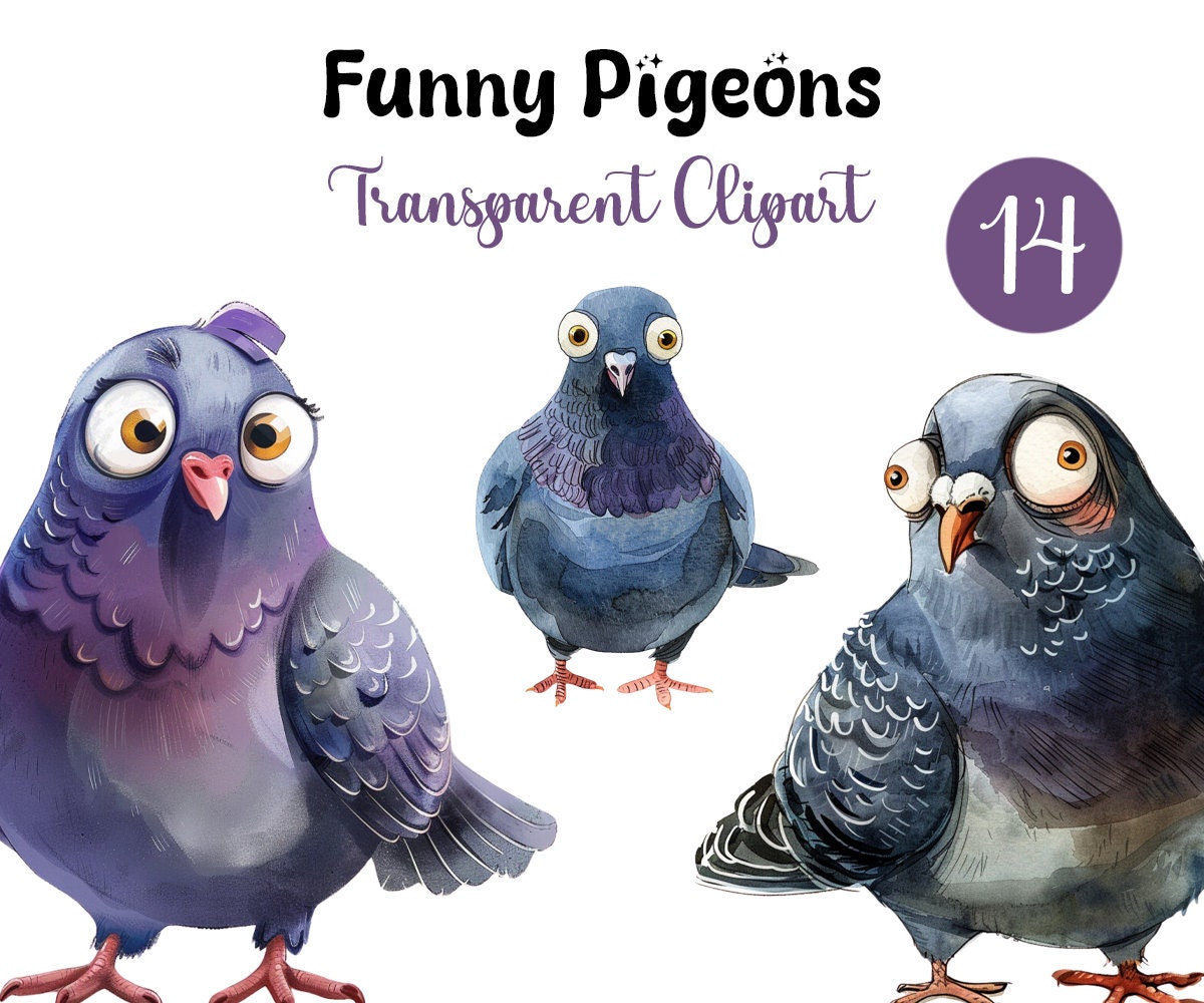 14 Watercolor Funny Pigeons Clipart, Printable Boggle-eyed Birds ...