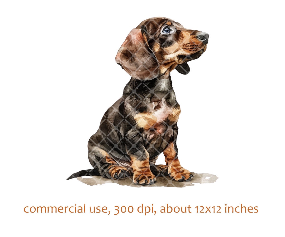 10 Watercolor Dachshund Clipart, Printable Dogs and Puppies Watercolor ...