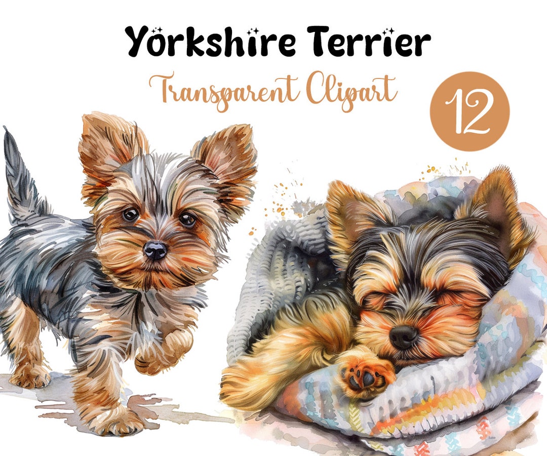 Yorkshire Terrier PNG Bundle, Watercolor Yorkshire PNG Images for ...