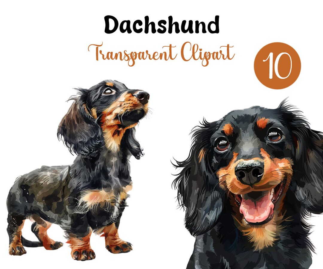 10 Watercolor Dachshund Clipart, Printable Dogs and Puppies Watercolor ...
