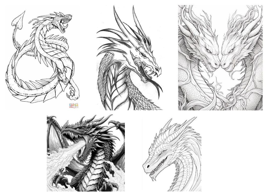 Printable Dragon Coloring - Etsy