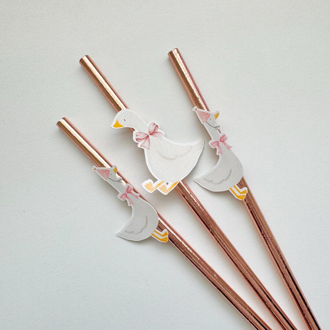 Silly Goose Straws, One Silly Goose Birthday Party, Custom Party Straws ...