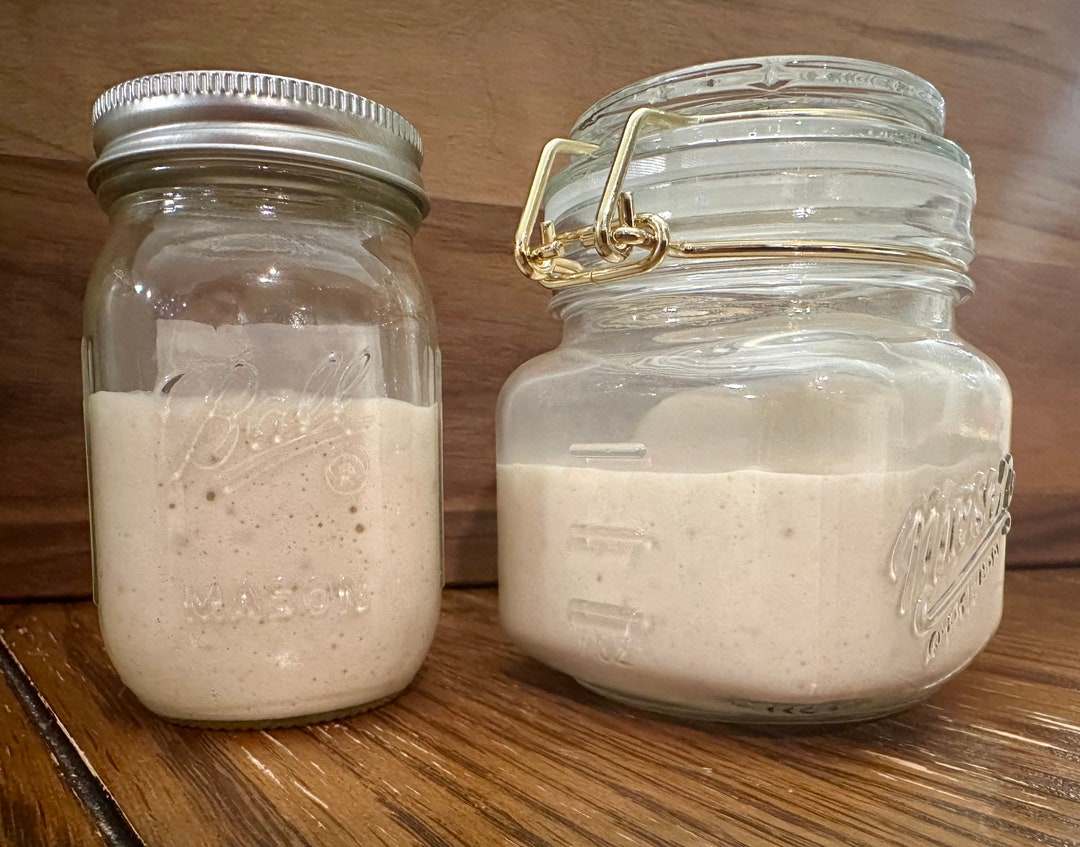 Alive Active Sourdough Starter Montana Fermented - Etsy