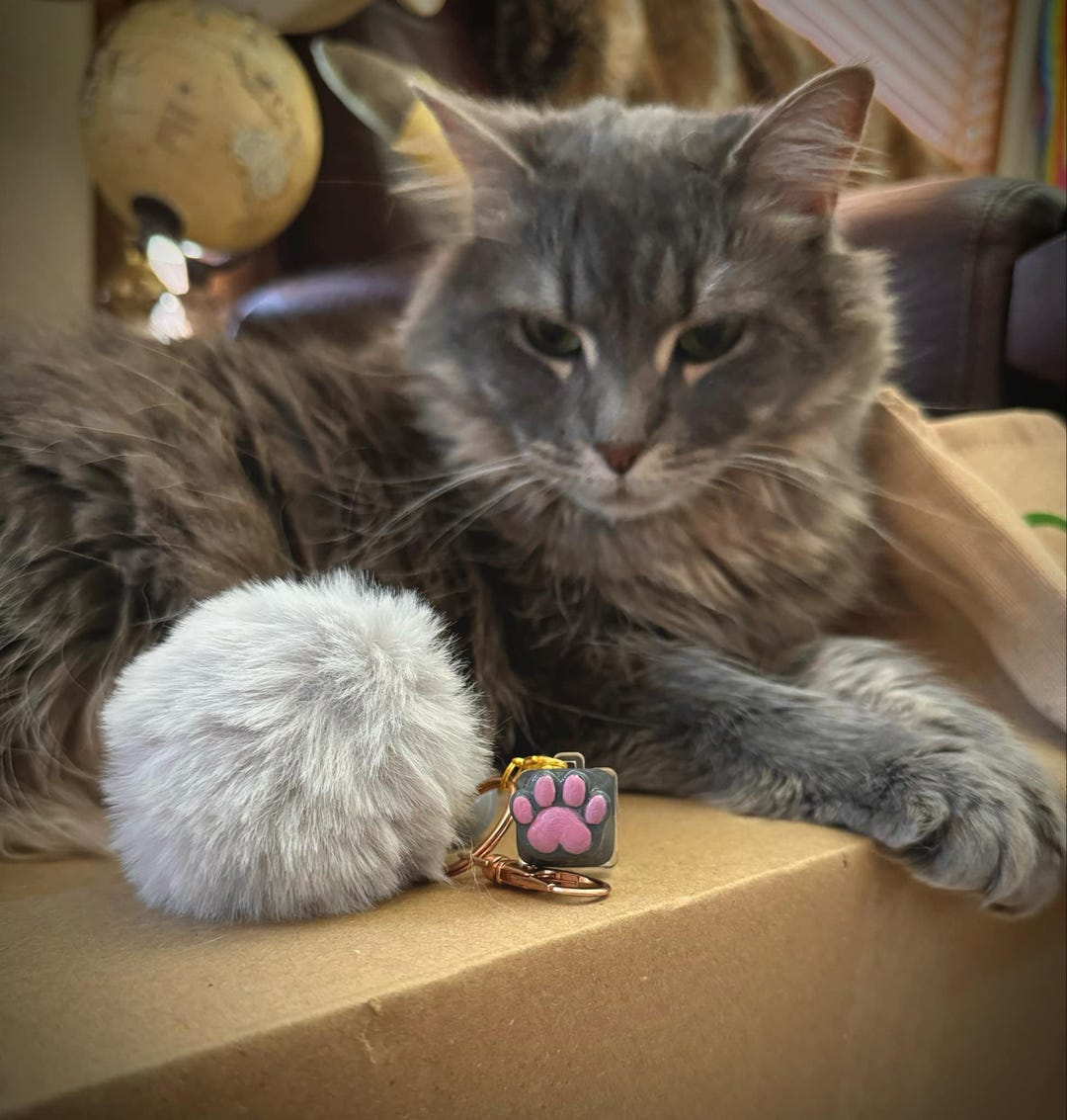 Cat Paw Keycap Keyboard Fidget Toy - Etsy