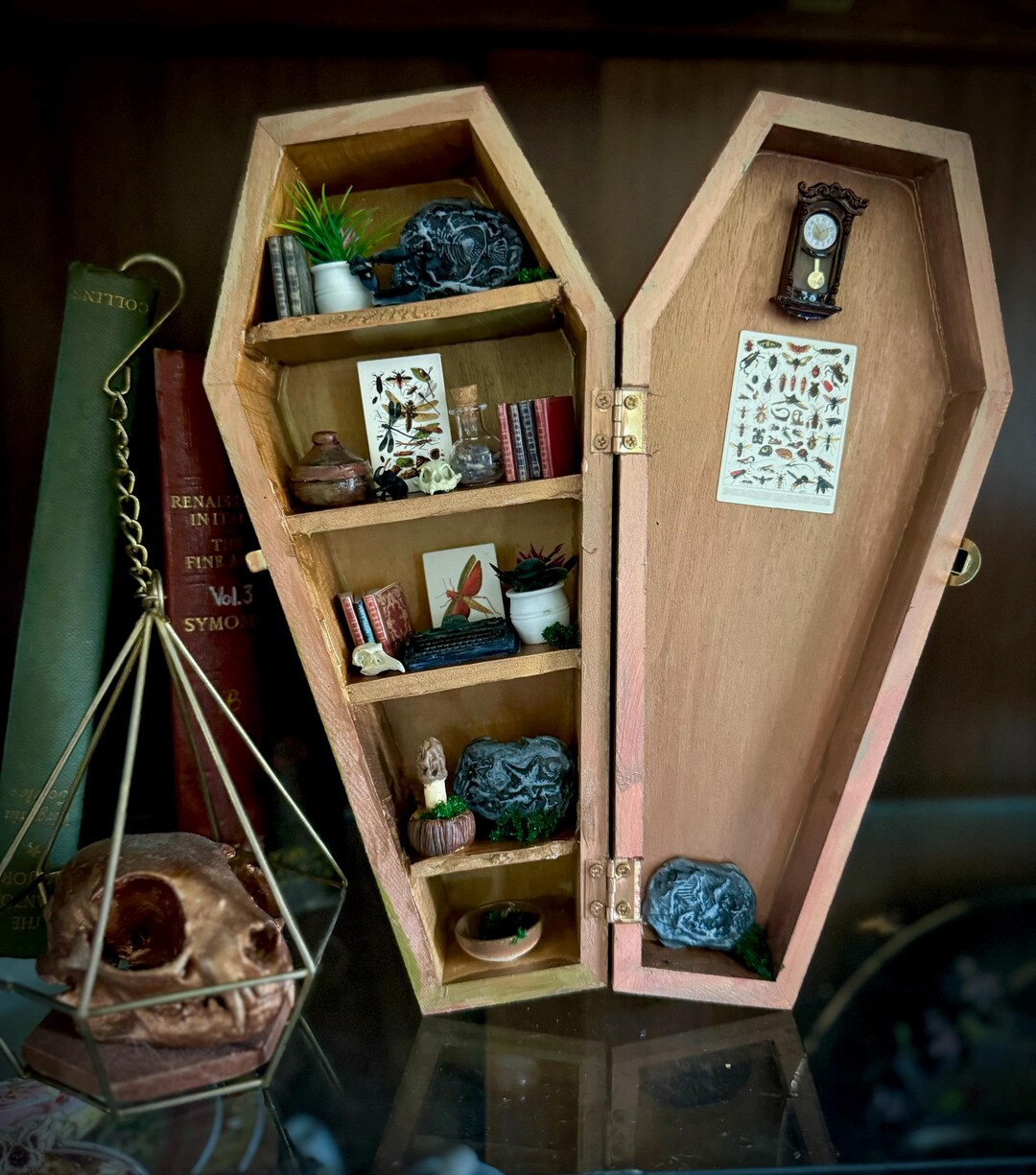 Coffins of Curiosity Mini Coffin Oddities Displays - Etsy Australia
