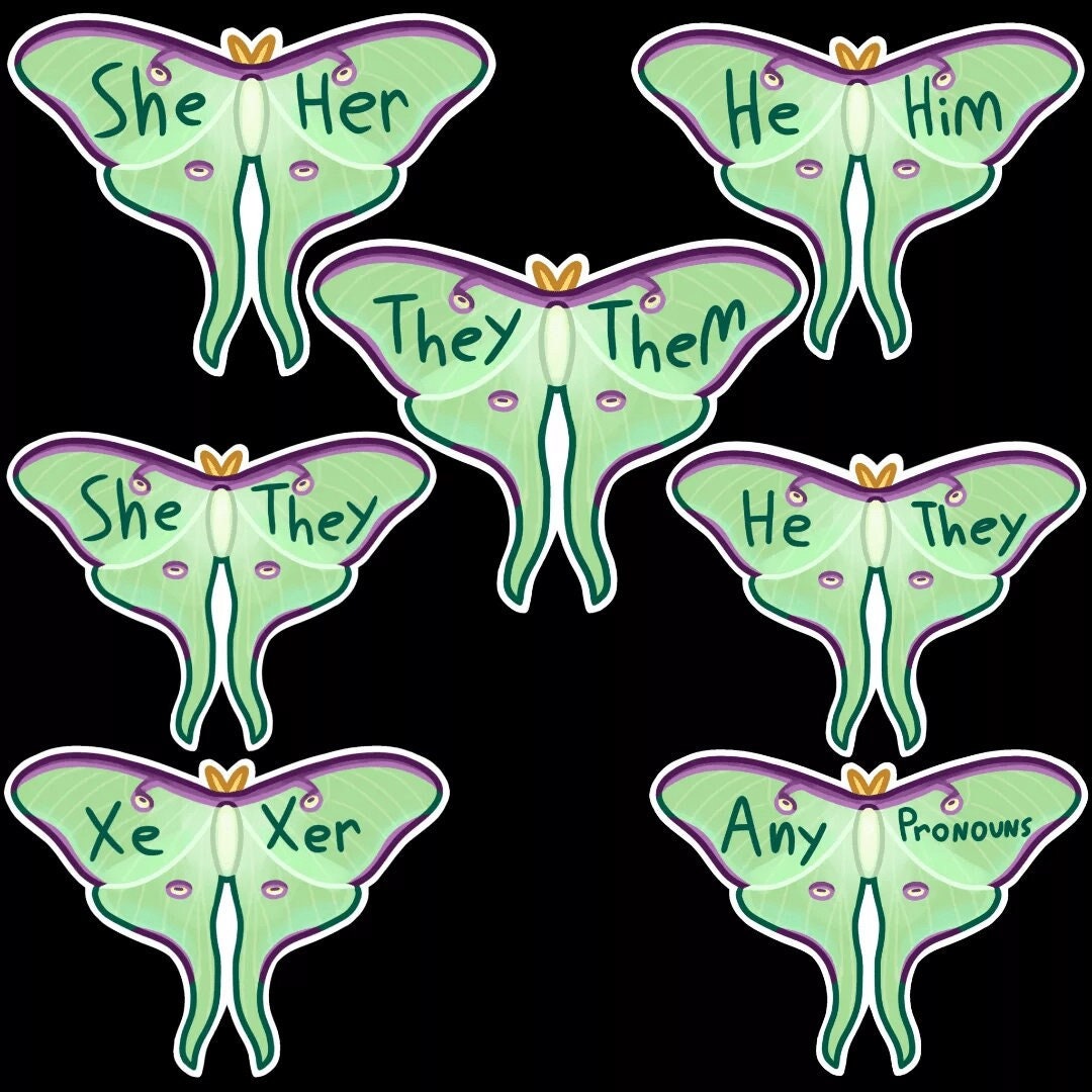 Luna Moth Pronoun Sticker - Etsy