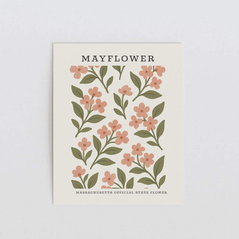 Massachusetts State Flower Art Print | Mayflower Botanical Wall Decor ...
