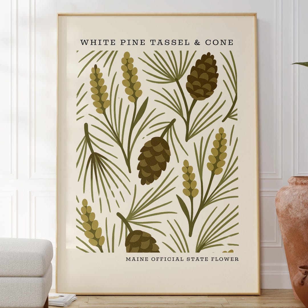 Maine State Flower Art Print – White Pine Cone and Tassel - Etsy