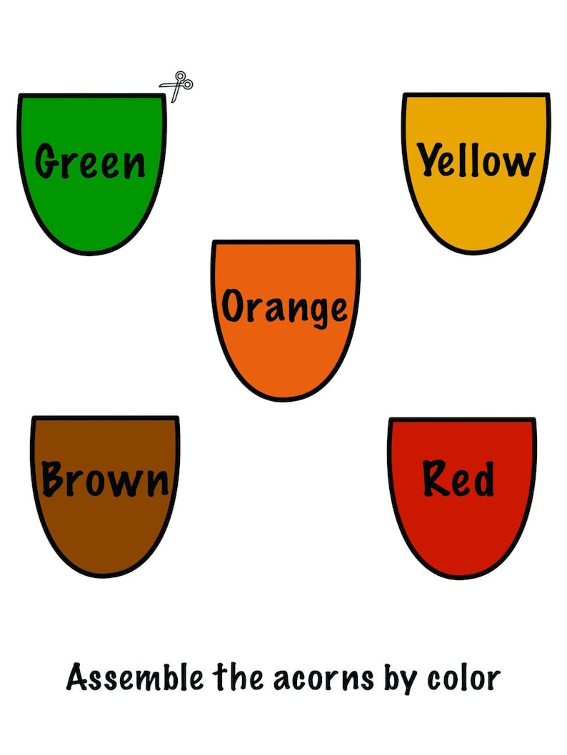 Acorn Color Match - Etsy