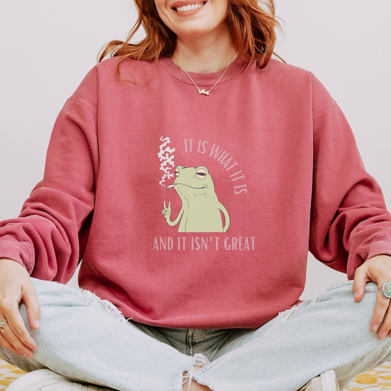 It is What It is and It is Not Great Tshirt Sweatshirt, Vintage Drawing ...