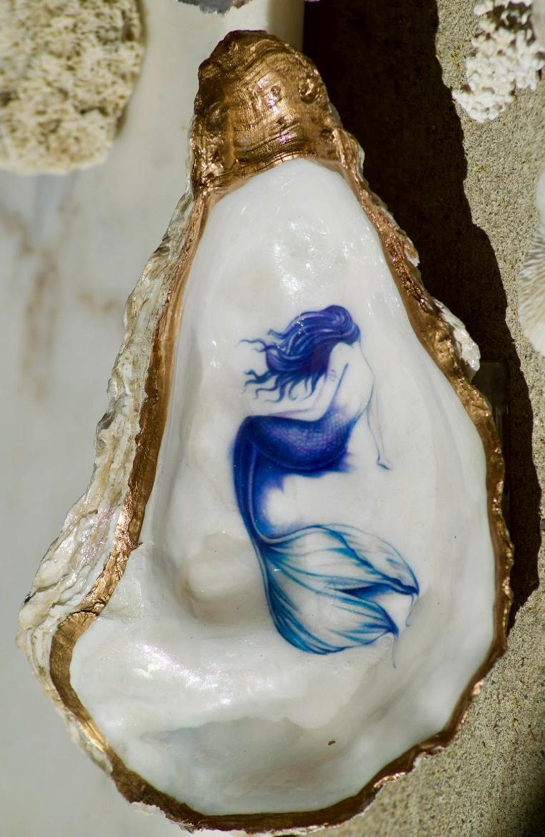 Extra Large Large Oyster Shells With Lid , Mermaid Oyster Shell, Whale ...