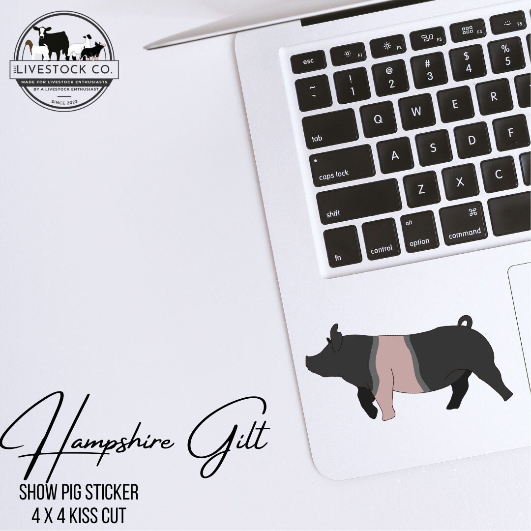 Show Pig Sticker, Hampshire Sticker, Show Gilt Sticker, Show Pig ...