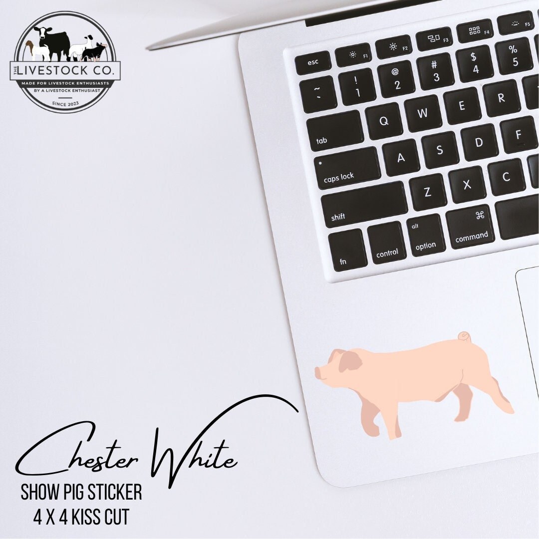 Show Pig Sticker, Chester White Sticker, Show Gilt Sticker, Show Pig ...