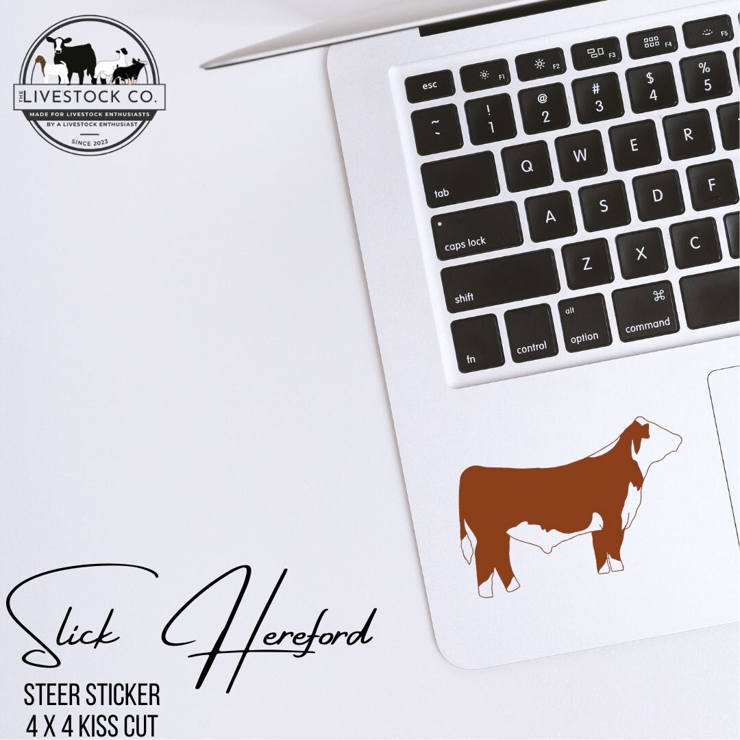 Slick Steer Sticker, Red Steer Sticker, Show Steer Sticker, Show Cattle ...