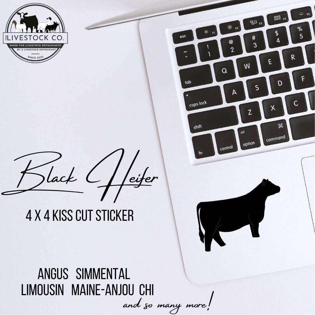 Angus Sticker, Simmental Sticker, Show Heifer Sticker, Show Cattle ...