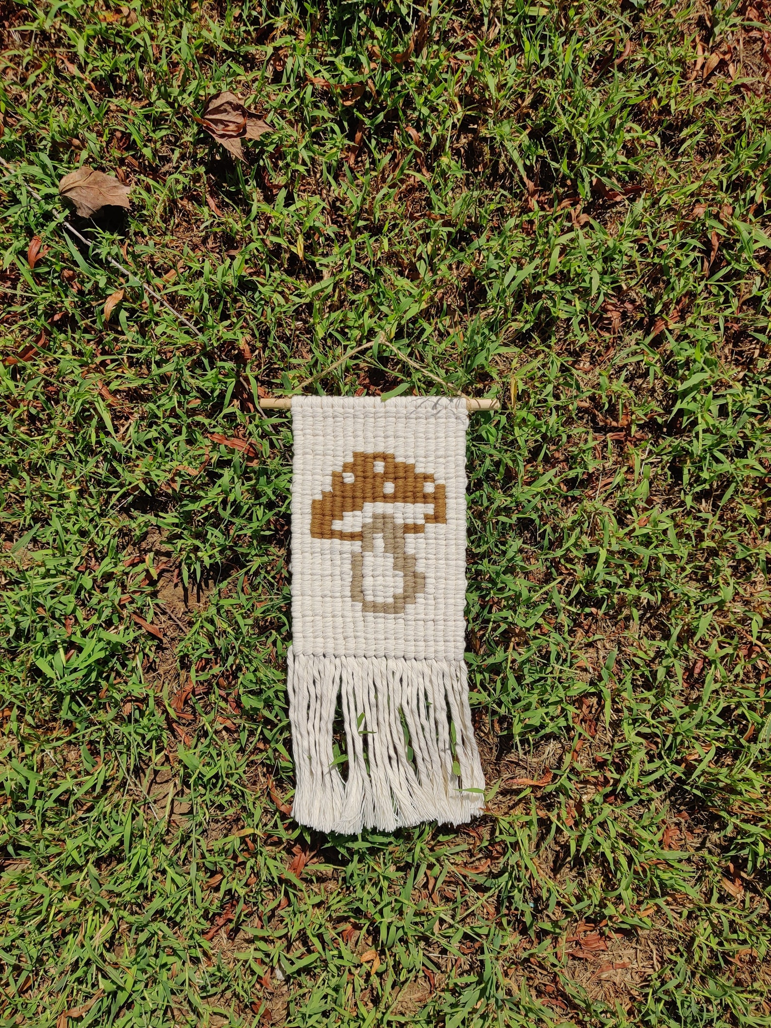 Macrame Mushroom Wall Hanging Art - Etsy