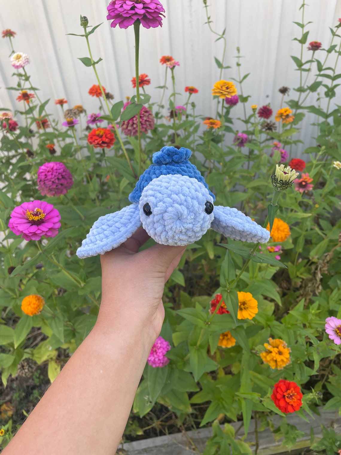 Mini Blueberry Sea Turtle Small Cute Plushie Amigurumi - Etsy