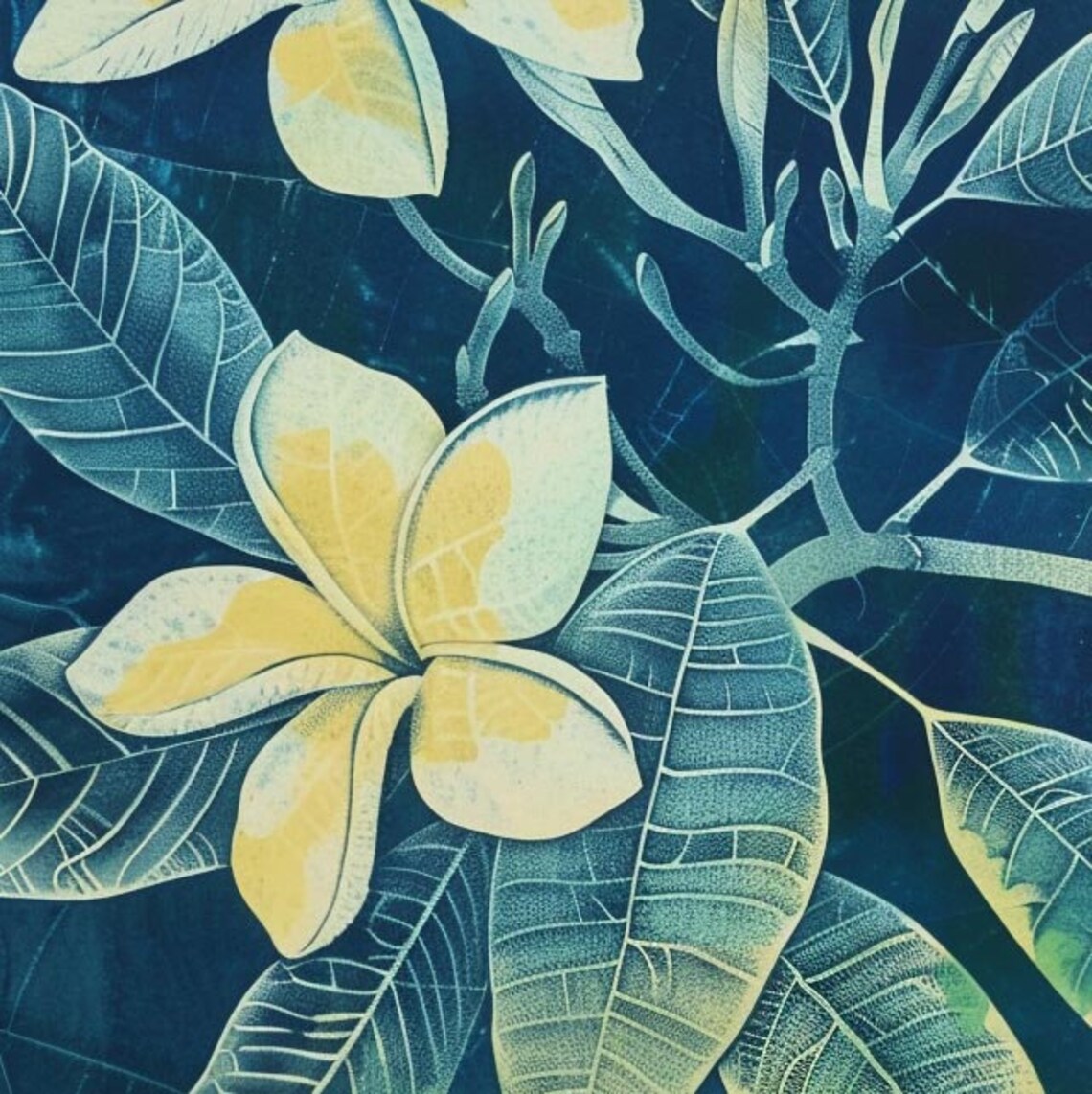 Monotype Print of Frangipani Flower 3 - Frangipani Fine Art Print ...