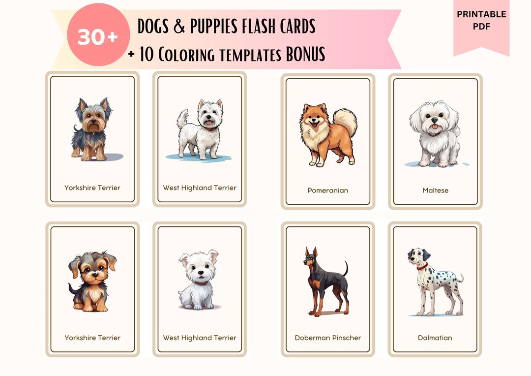 30 Dog and Puppy Flash Cards Bonus Coloring Books for Kids - Etsy
