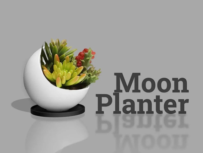 Moon Planter for Succulentshouse Plant Plantercute Decor - Etsy