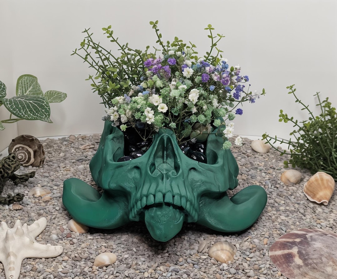 Skull Shell Sea Turtle Planter: Gothic Succulent Pot - Etsy