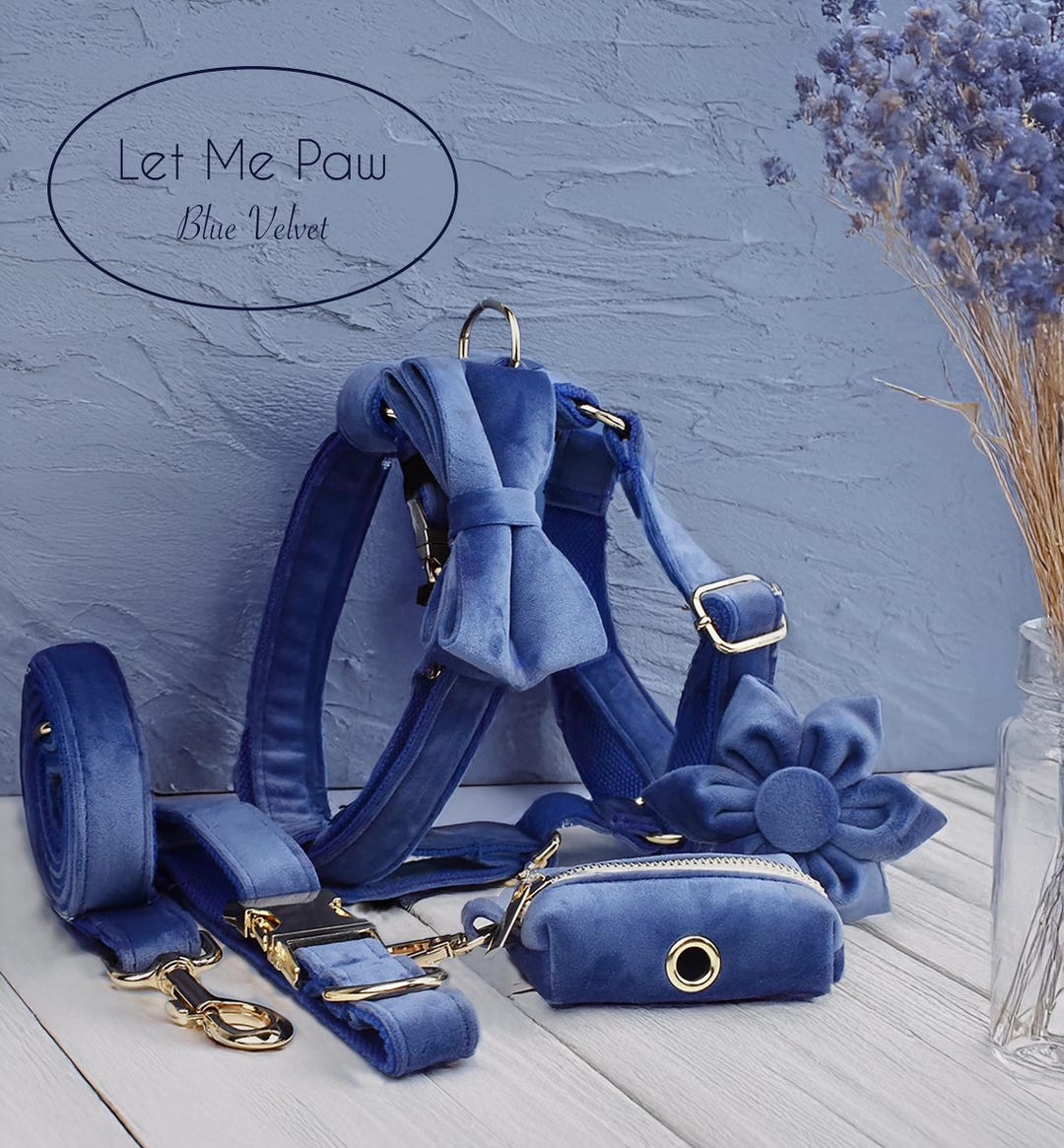 Blue Velvet Collar & Harness Set With Bow Tie – Personalized Dog ...
