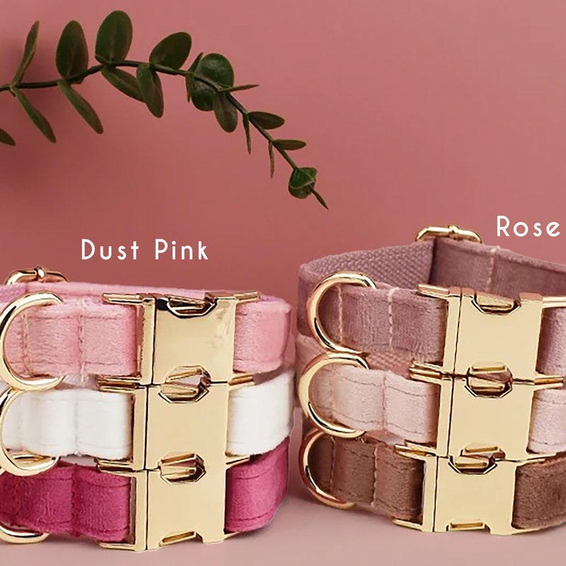 Girl Dog Collar - Etsy
