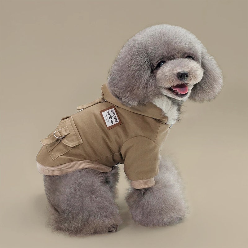 Designer Dog Clothes - Etsy