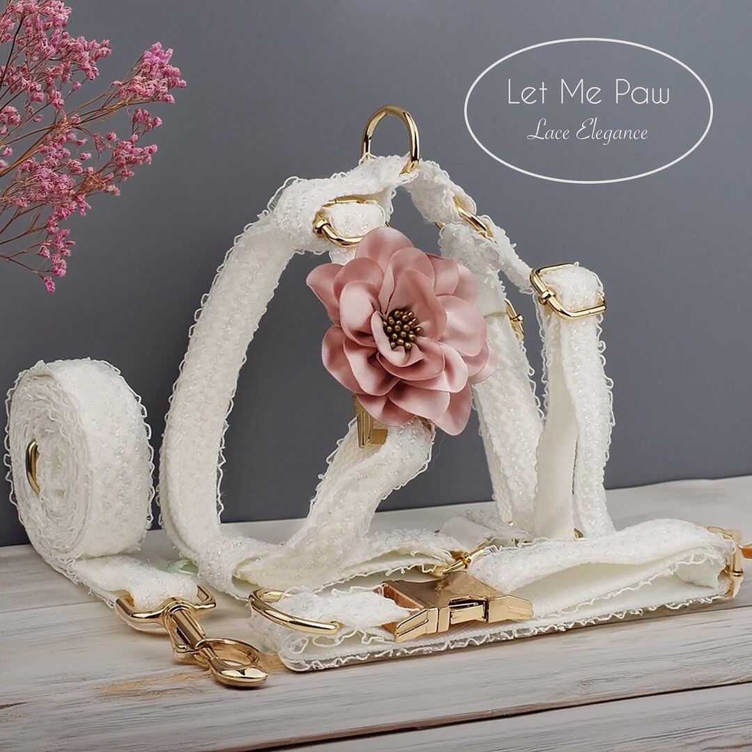 Luxury Custom Lace Dog Wedding Collar & Leash Set With Harness ...