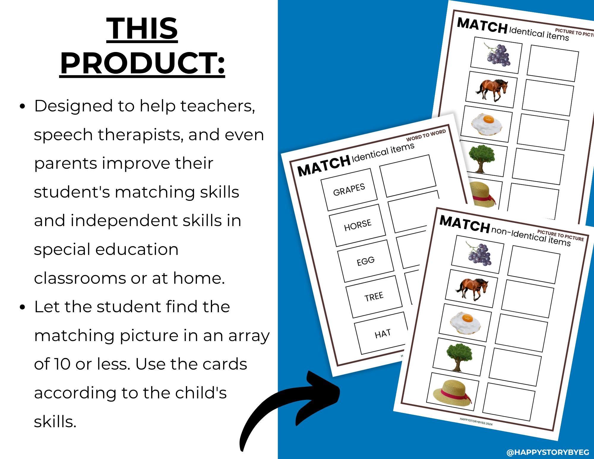 Matching Identical, Non-identical Items Worksheet Book for Autism ABA ...