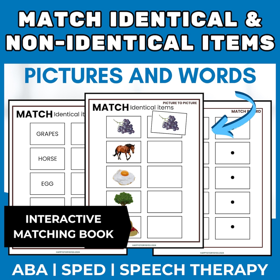Matching Identical, Non-identical Items Worksheet Book for Autism ABA ...