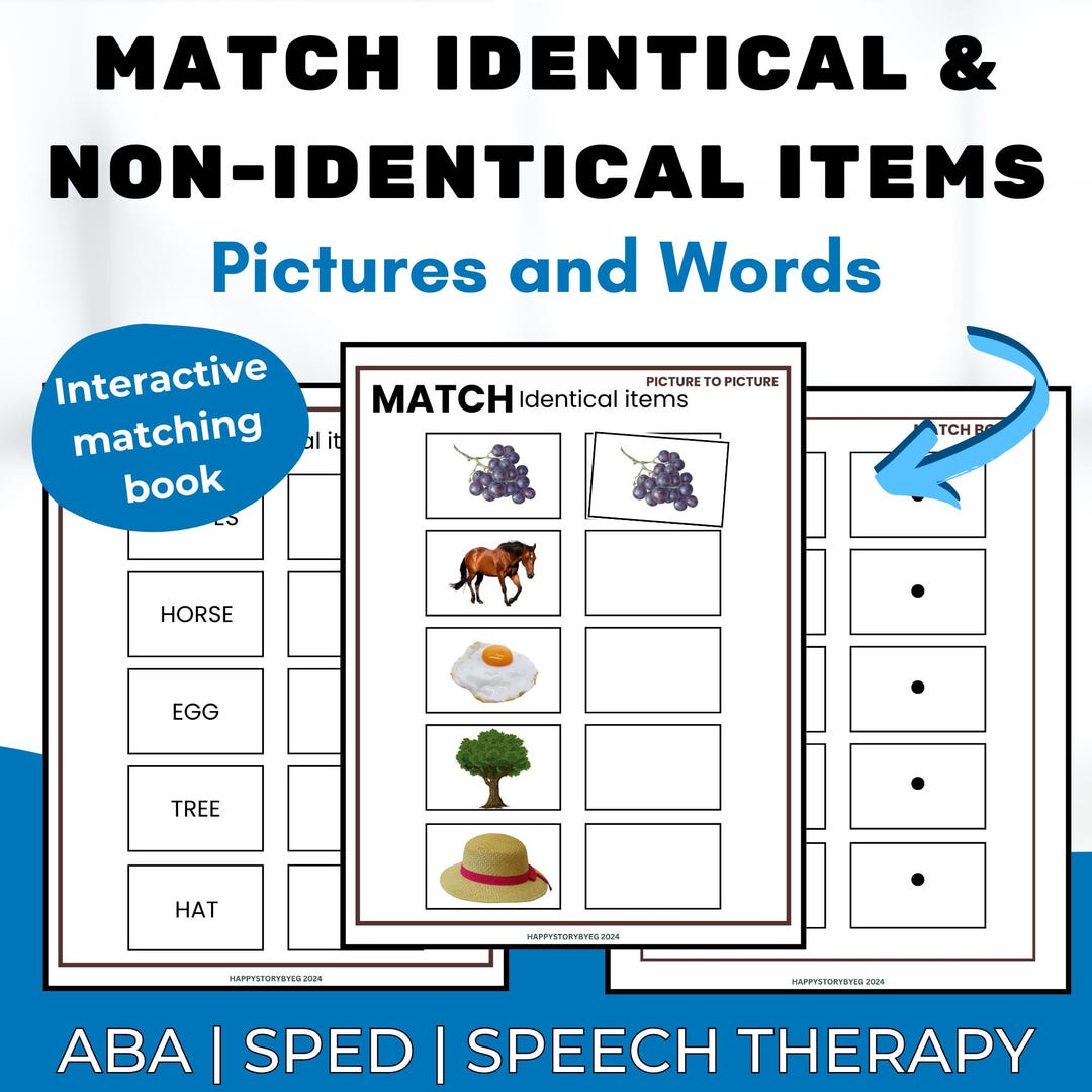 Matching Identical, Non-identical Items Worksheet Book for Autism ABA ...