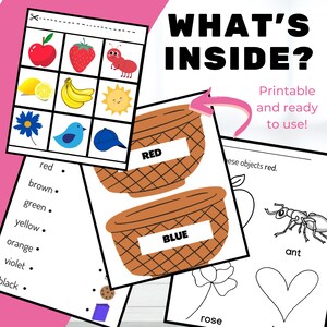 Identify Color Words | Color Worksheets | Preschool Color Activity ...
