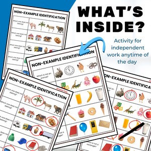 Which One Does Not Belong? Which is Not? Non-examples Worksheet Book ...