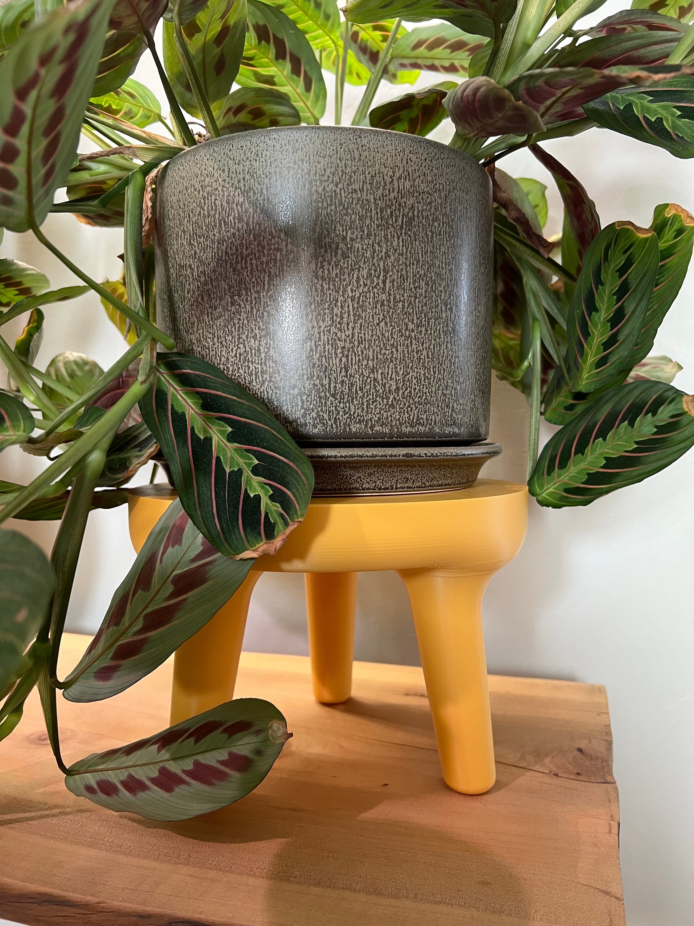 3D Print File - Plant Stand, Plant Riser - Etsy