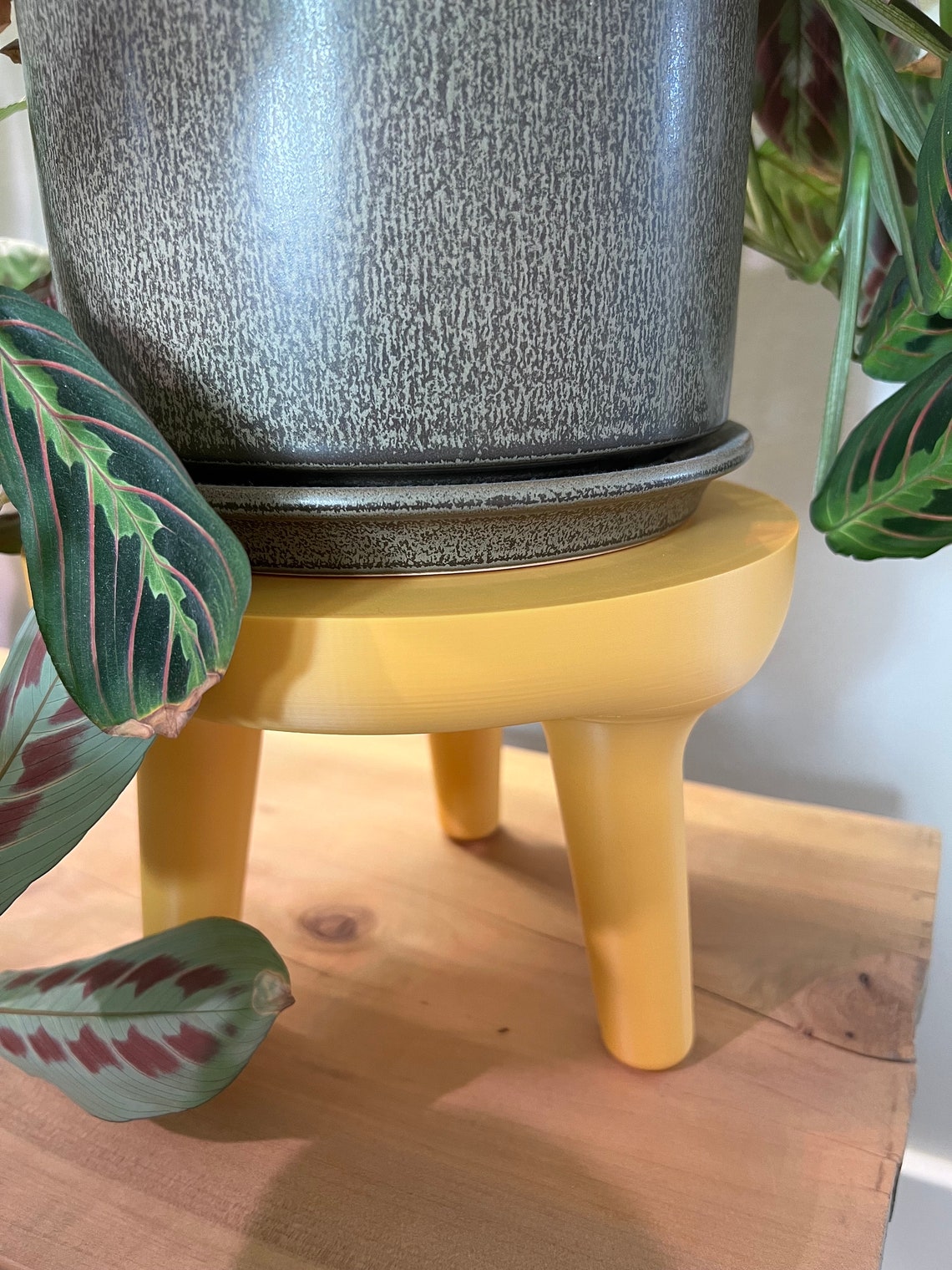 3D Print File - Plant Stand, Plant Riser - Etsy