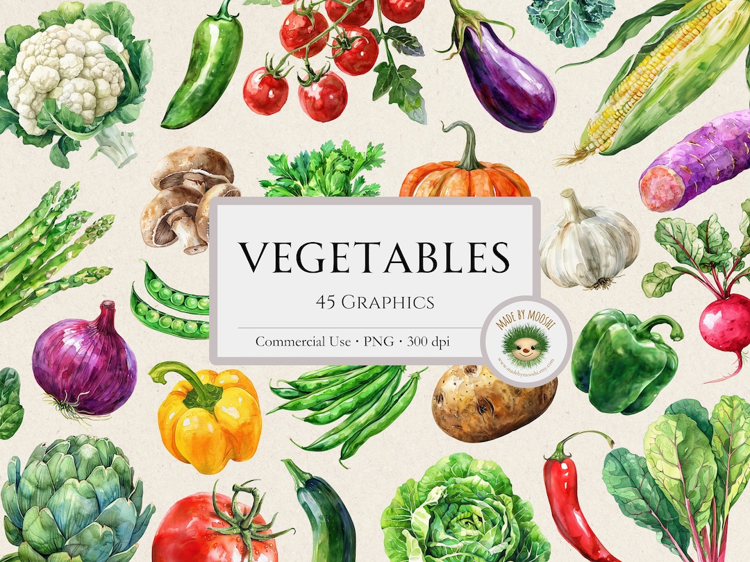 Vegetables Watercolor Clipart Bundle, Assorted Garden Vegetable Fruit ...