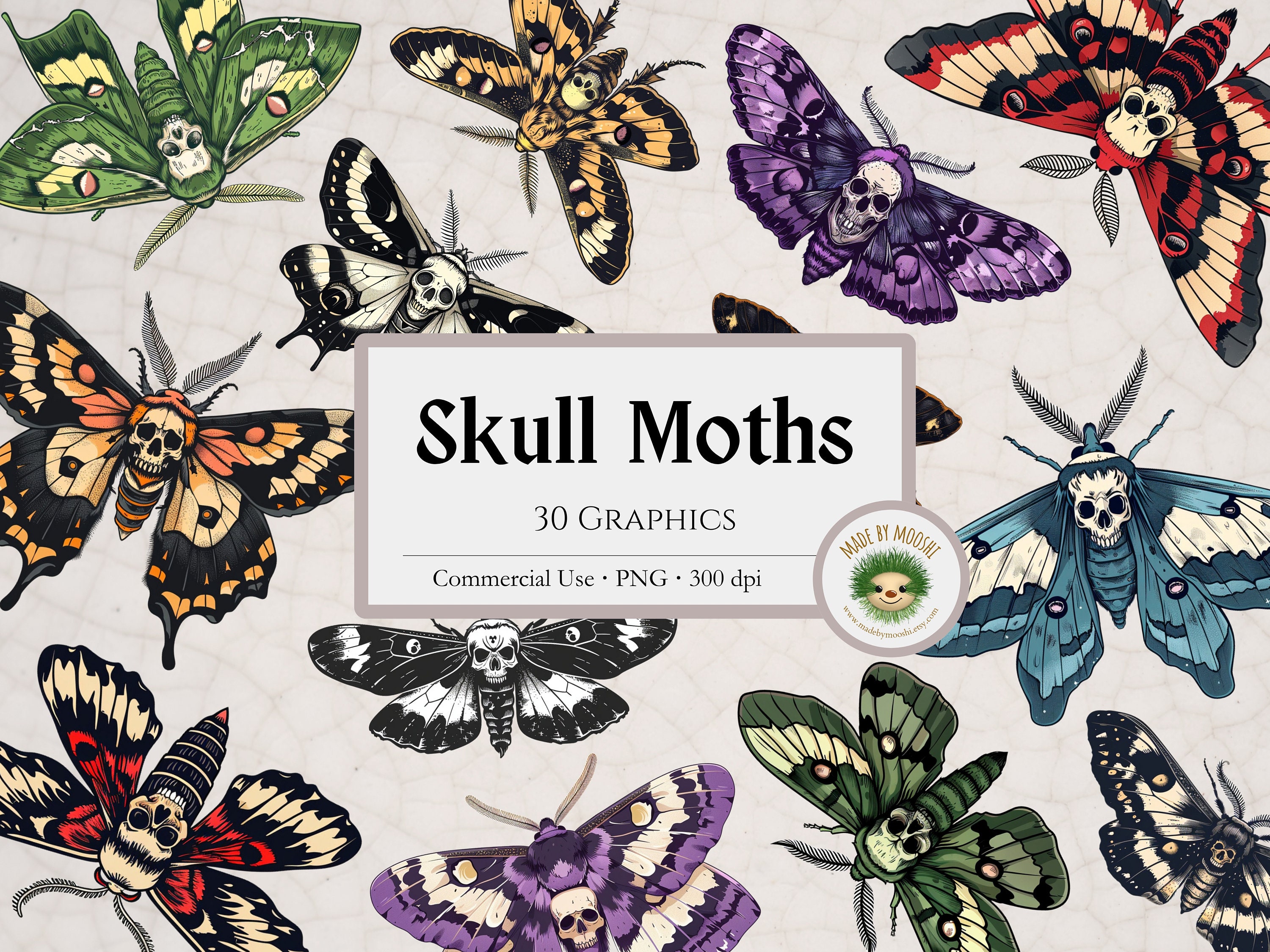 Skull Moths Bundle Clipart, Death's Head Hawk Moth Insect Graphics ...