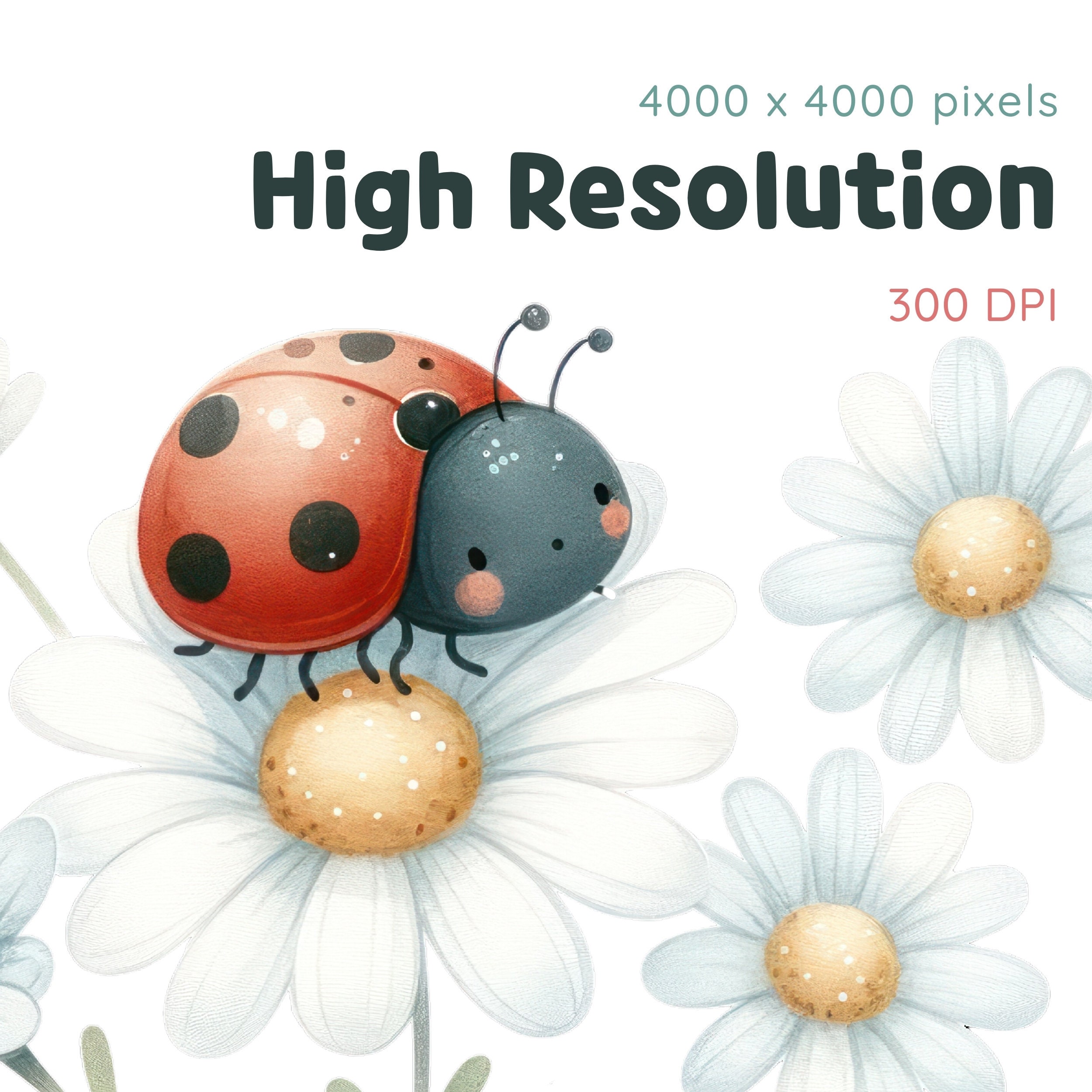 Ladybugs With Flowers Watercolor Clipart Set, Cute Ladybug and Flowers ...