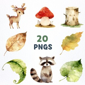 Watercolor Woodland Animal Clipart Bundle 20 High-quality Pngs Bear ...