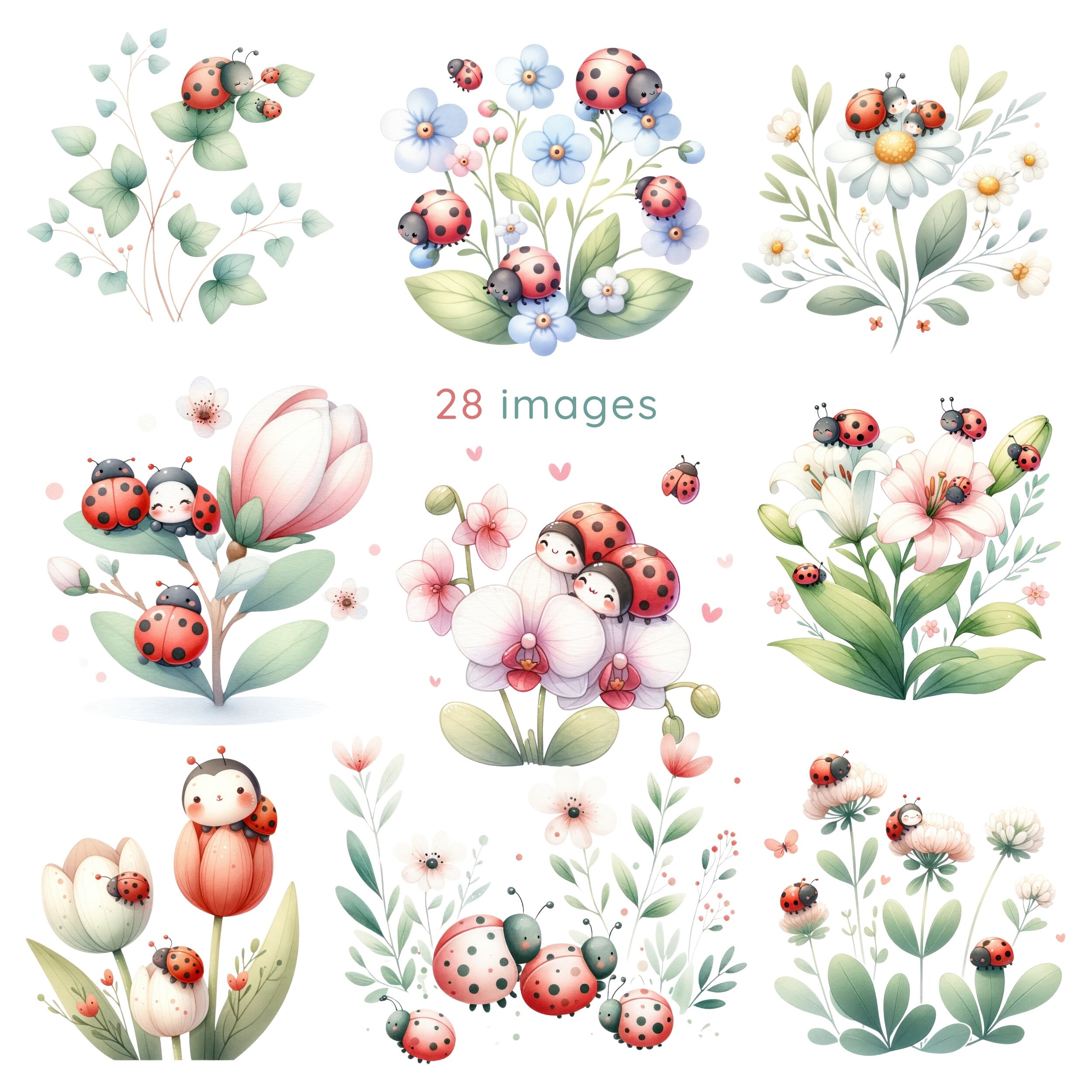 Ladybugs With Flowers Watercolor Clipart Set, Cute Ladybug and Flowers ...