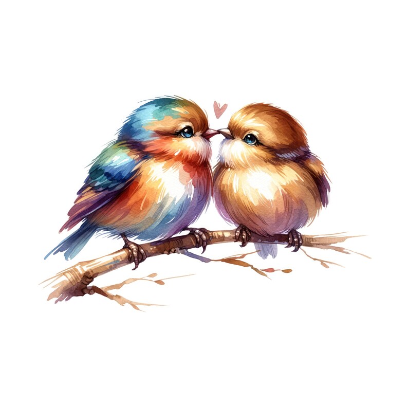 Love Birds Perched on a Branch Clipart, 10 High Quality Pngs, Valentine ...